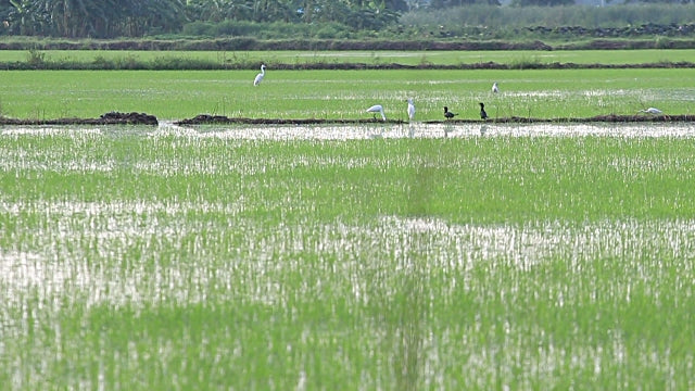 Contact Us – Floating Leaf Fine Foods